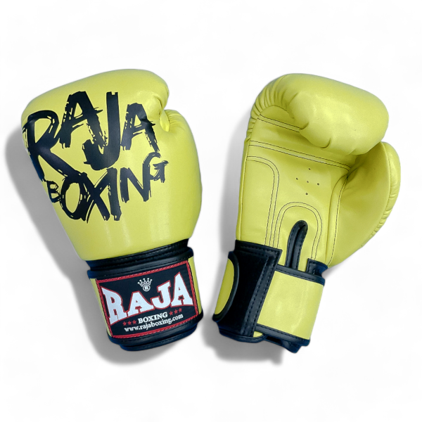 RBGV-V4 Raja Gloves Model 4 – RAJA BOXING